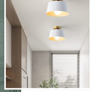 BinoBro Modern Semi Flush Mount Ceiling Light with Gold Plate and Matte White Shade, Farmhouse Ceiling Light Fixture for Kitchen Island Dining Room Foyer Hallway Porch Barn Loft，10in (White)