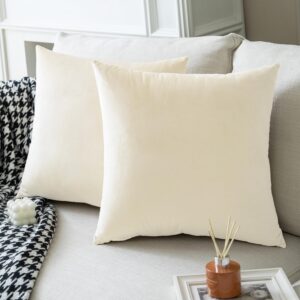 colormz set of 2 light cream colored cozy velvet throw pillow covers for bed and couch - 18"x18"