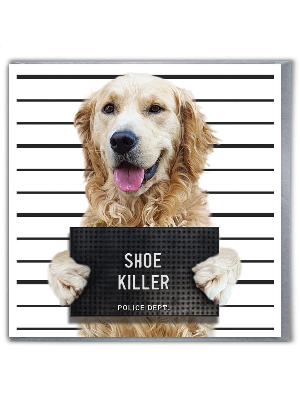 Brainbox Candy - Funny Birthday Cards - 'Shoe Killer' - Cute Dog Cards - Golden Retriever Dog Owners - Pet Dog Lovers - Cheeky Birthday Cards for Him Her Men Women Partner Friend