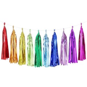 rainbow tissue paper tassel garland pre-assembled 10 colors paper tassel colorful paper tassel garland table decor for christmas birthday wedding bridal shower party (foil rainbow tassl)