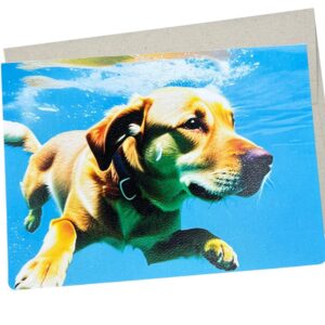 underwater yellow lab greeting card with envelope (5x7 inches and blank inside for all occasions) swimming yellow labrador on card for birthday, anniversary, or thinking of you - 281