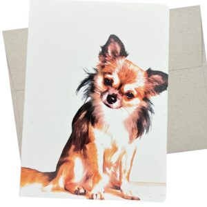 long-haired chihuahua greeting card, chihuahua birthday card (5x7 inches and blank inside for all occasions) notecard also for dog baby shower, pet sympathy, or retirement - 312