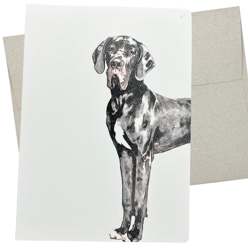 Great Dane Greeting Card with Envelope (5X7 Inches and Blank Inside for All Occasions) Cute Great Dane on card for Birthday, Anniversary, or Thinking of You - 311