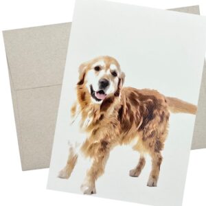 golden retriever greeting card with envelope (5x7 inches and blank inside for all occasions) cute golden retriever on card for birthday, anniversary, or thinking of you - 319