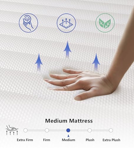 elitespace Queen Mattresses,12 Inch Queen Size Mattress in a Box,Memory Foam Hybrid White Mattress with Provide Support and Improve Sleep Mattresses,CertiPUR-US.