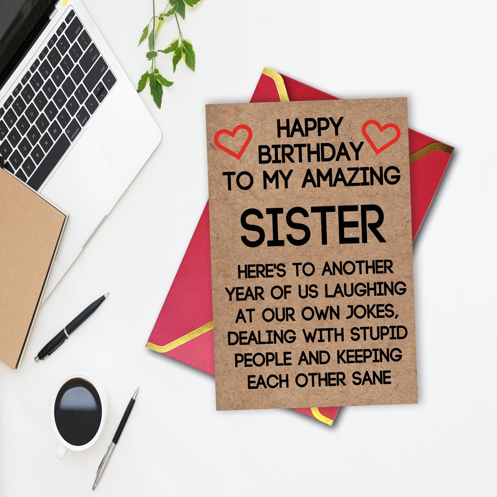 Ziwenhu Humor Sister Birthday Gift Ideas from Brother Cousin, Cute Sister Birthday Card from Best Sister, Funny Birthday Card for Sister, Happy Birthday To My Amazing Sister Card