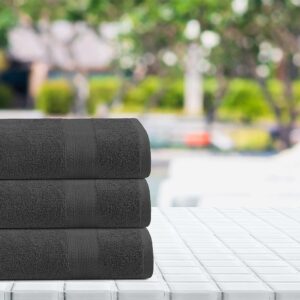 TEXCRAFT Premium Bath Towel Set, 24 x 48 Pack of 6 100% Cotton Terry Towels for Bathroom, Quick Dry, Highly Absorbent, Soft Feel, for Shower, Pool, Spa, Gym, Hand Towel for Daily Use - Chr Grey