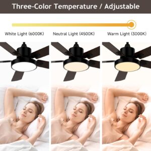 Obabala Ceiling Fans with Lights and Remote, Outdoor/Indoor Black Fan with Lights for Patio Bedroom Living Room，52 Inch