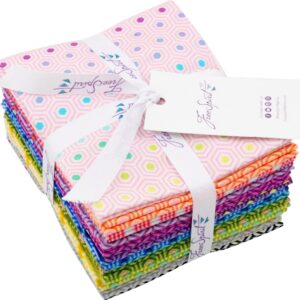 Tula Pink True Colors All Hexy 13 Fat Quarters FreeSpirit