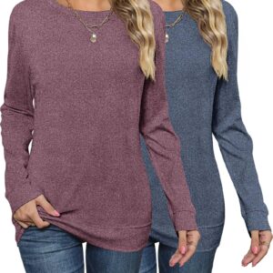 Ficerd 2 Pack Women's Casual Sweatshirts, Long Sleeve Cotton Shirts Loose Fit Lightweight Crew Neck Basic Tops Cute Pullover (Navy Blue, Wine Red,Large)