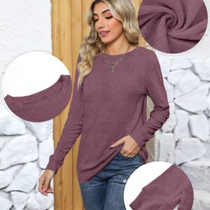 Ficerd 2 Pack Women's Casual Sweatshirts, Long Sleeve Cotton Shirts Loose Fit Lightweight Crew Neck Basic Tops Cute Pullover (Navy Blue, Wine Red,Large)