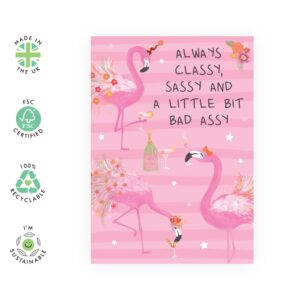 CENTRAL 23 Birthday Card for Female Friends - Classy, Sassy and A Little Bit Bad Assy - Pink Flamingo Greeting Card for Women - Funny Gifts for Sister Girlfriend Daughter - Comes with Stickers