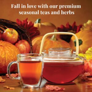 The Republic of Tea – Limited-Edition Fall Pumpkin Teas - Pumpkin Spice and Golden Pumpkin Tea Bundle – 50 and 36 Count Tea Bags