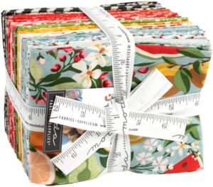 basicgrey fruit loop 30 fat quarters moda fabrics 30730ab