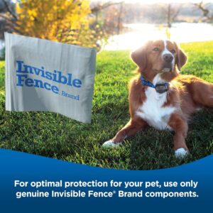 INVISIBLE FENCE Power Cap Batteries for MicroLite and MicroLite Plus Computer Collar Units – Also compatible with MaxDog and MaxDog Plus Invisible Fence Dog Collars - 2 Pack