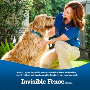 INVISIBLE FENCE Power Cap Batteries for MicroLite and MicroLite Plus Computer Collar Units – Also compatible with MaxDog and MaxDog Plus Invisible Fence Dog Collars - 2 Pack