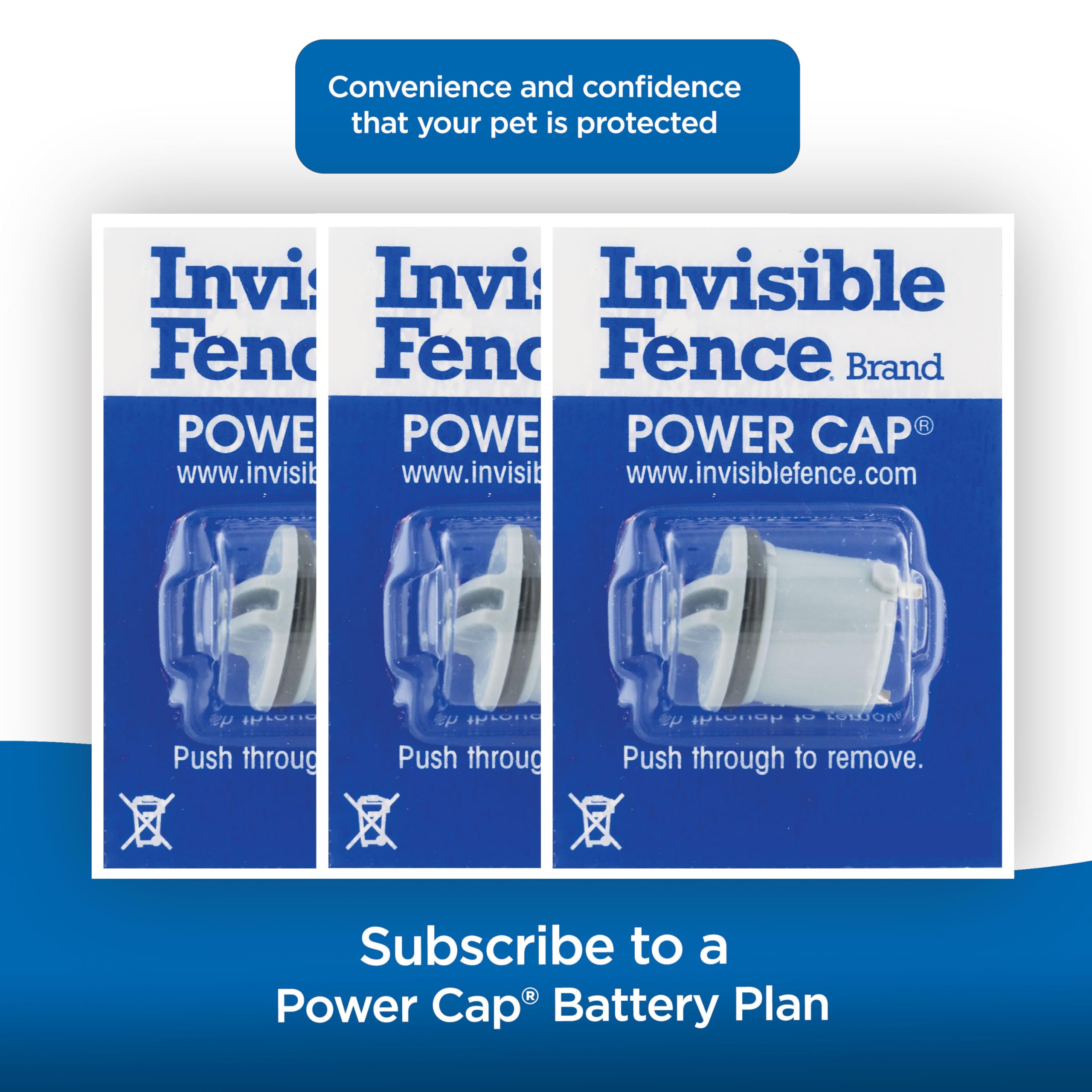 INVISIBLE FENCE Power Cap Batteries for MicroLite and MicroLite Plus Computer Collar Units – Also compatible with MaxDog and MaxDog Plus Invisible Fence Dog Collars - 2 Pack