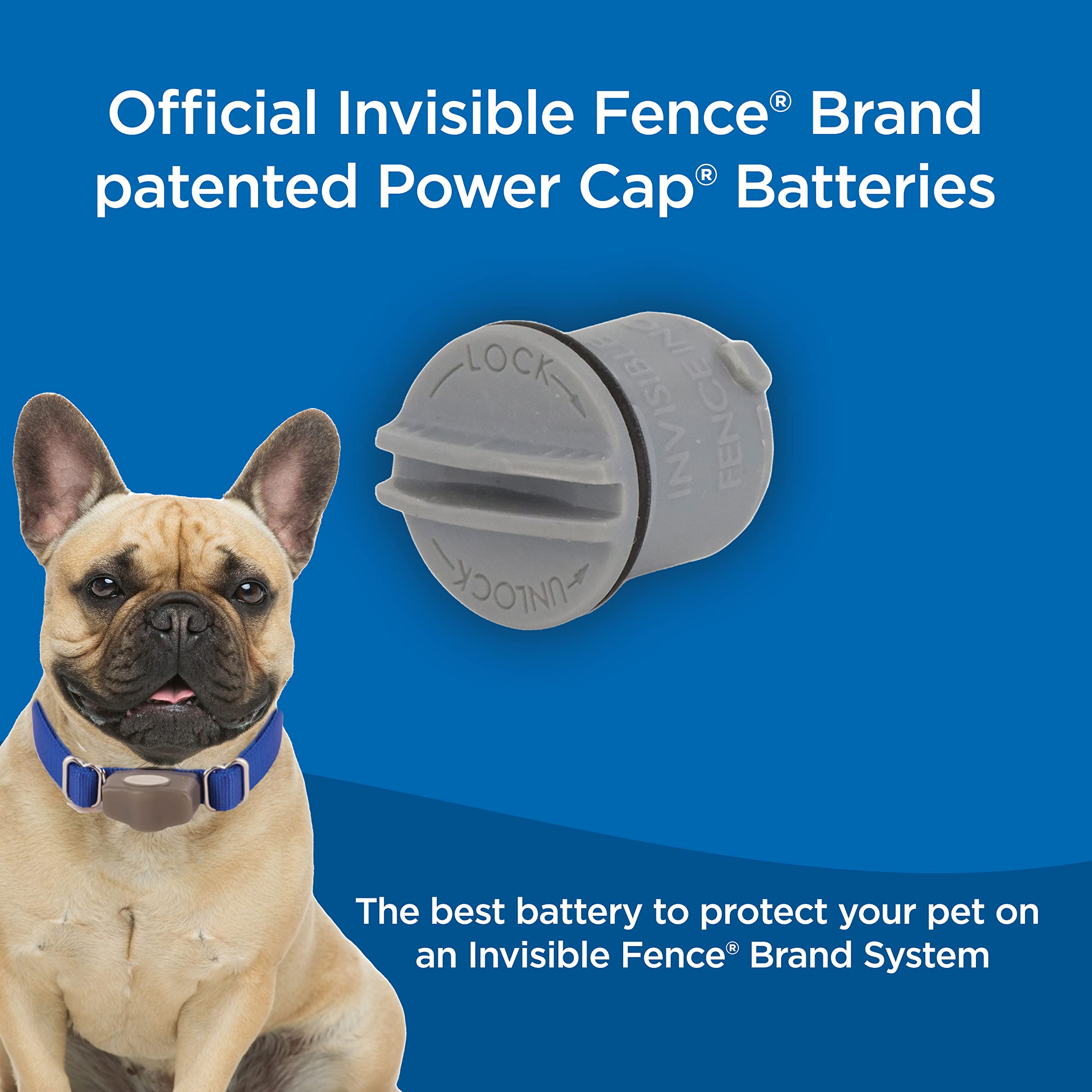 INVISIBLE FENCE Power Cap Batteries for MicroLite and MicroLite Plus Computer Collar Units – Also compatible with MaxDog and MaxDog Plus Invisible Fence Dog Collars - 2 Pack