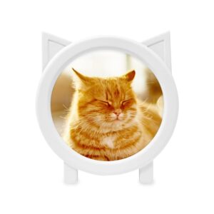 Isaac Jacobs 5x5 Round Resin Sentiment Cat Picture Frame with Ears, Photo Tabletop & Wall Display Hanging Display & Home Décor (White)