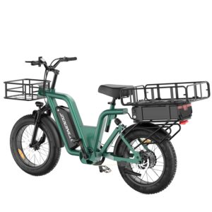 doulve electric bike, 48v 30ah dual battery electric bicycle, 60 miles long range e-bike for adult with 750w brushless motor, 5 speed gear pedal-assisted mode, and 20 inch cargo ebike (green)