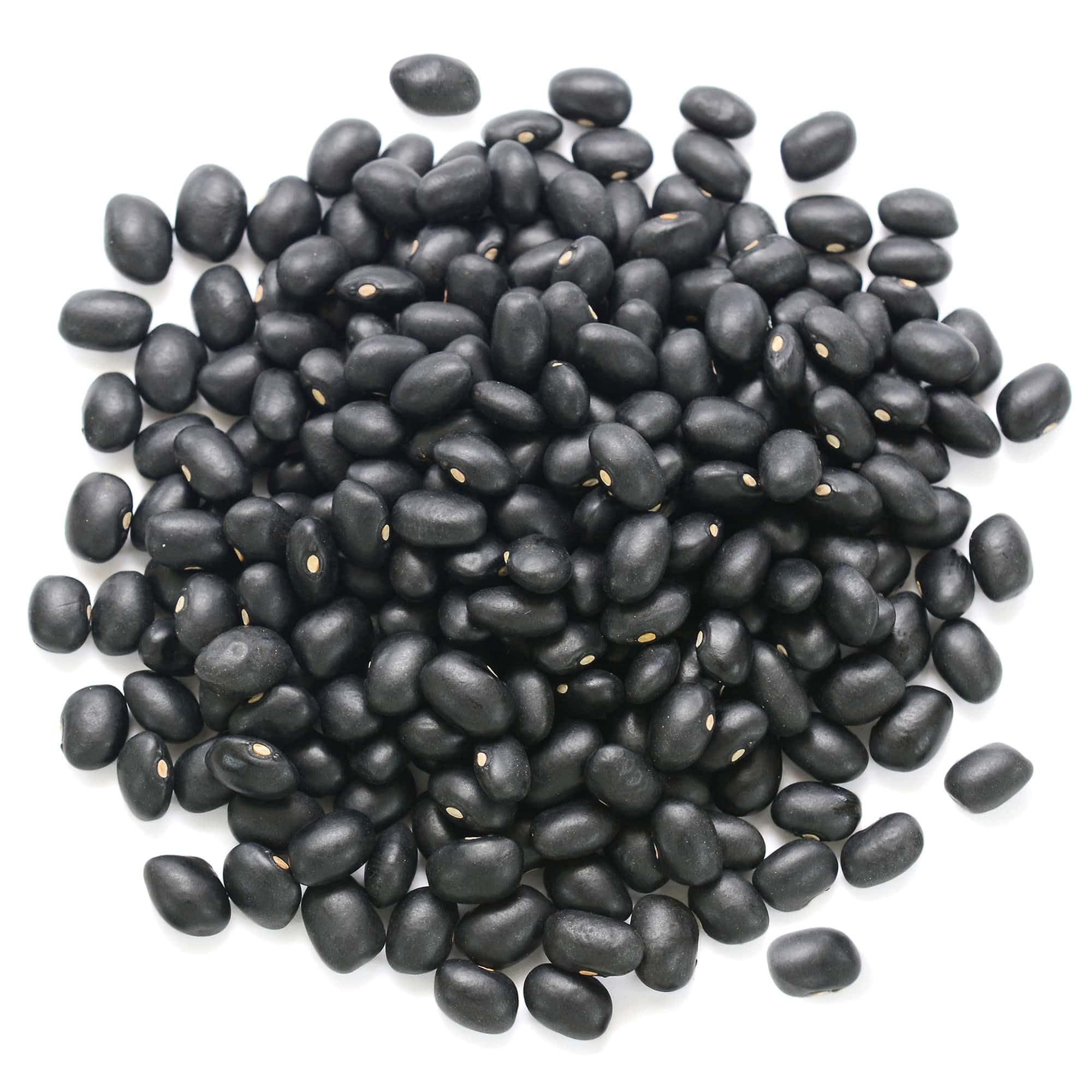 Food to Live Organic Black Beans, 2 Pounds – Non-GMO, Whole Dried Beans, Sproutable, Vegan, Kosher, Bulk. Great Source of Plant Based Protein, Fiber. Great for Soup, Salads, Chili.