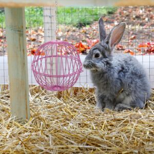 Rabbit Feeding Cage Feed Dispenser Ball Bunny Feeder Balls Rabbit Grass Feeder Ball Hamster Cage Feeder Feed Dispenser Toy Rabbit Hanging Grass Ball Guinea Feeder Rabbit Supply