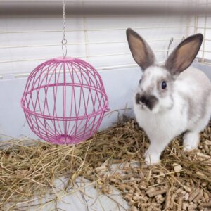 Rabbit Feeding Cage Feed Dispenser Ball Bunny Feeder Balls Rabbit Grass Feeder Ball Hamster Cage Feeder Feed Dispenser Toy Rabbit Hanging Grass Ball Guinea Feeder Rabbit Supply