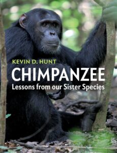 chimpanzee: lessons from our sister species