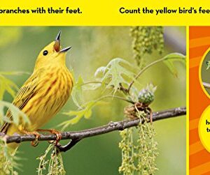 National Geographic Kids Look and Learn: Birds (Look & Learn)