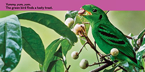 National Geographic Kids Look and Learn: Birds (Look & Learn)