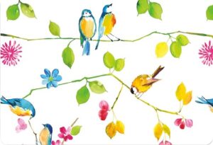 watercolor birds note cards (stationery)