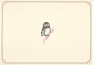 owl portrait note cards (stationery, boxed cards)