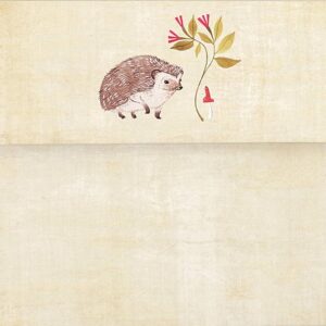 Hedgehog Note Cards (Stationery, Boxed Cards)