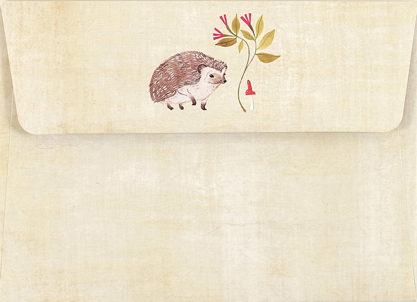 Hedgehog Note Cards (Stationery, Boxed Cards)