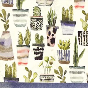 Watercolor Succulents Note Cards (Stationery, Boxed Cards)