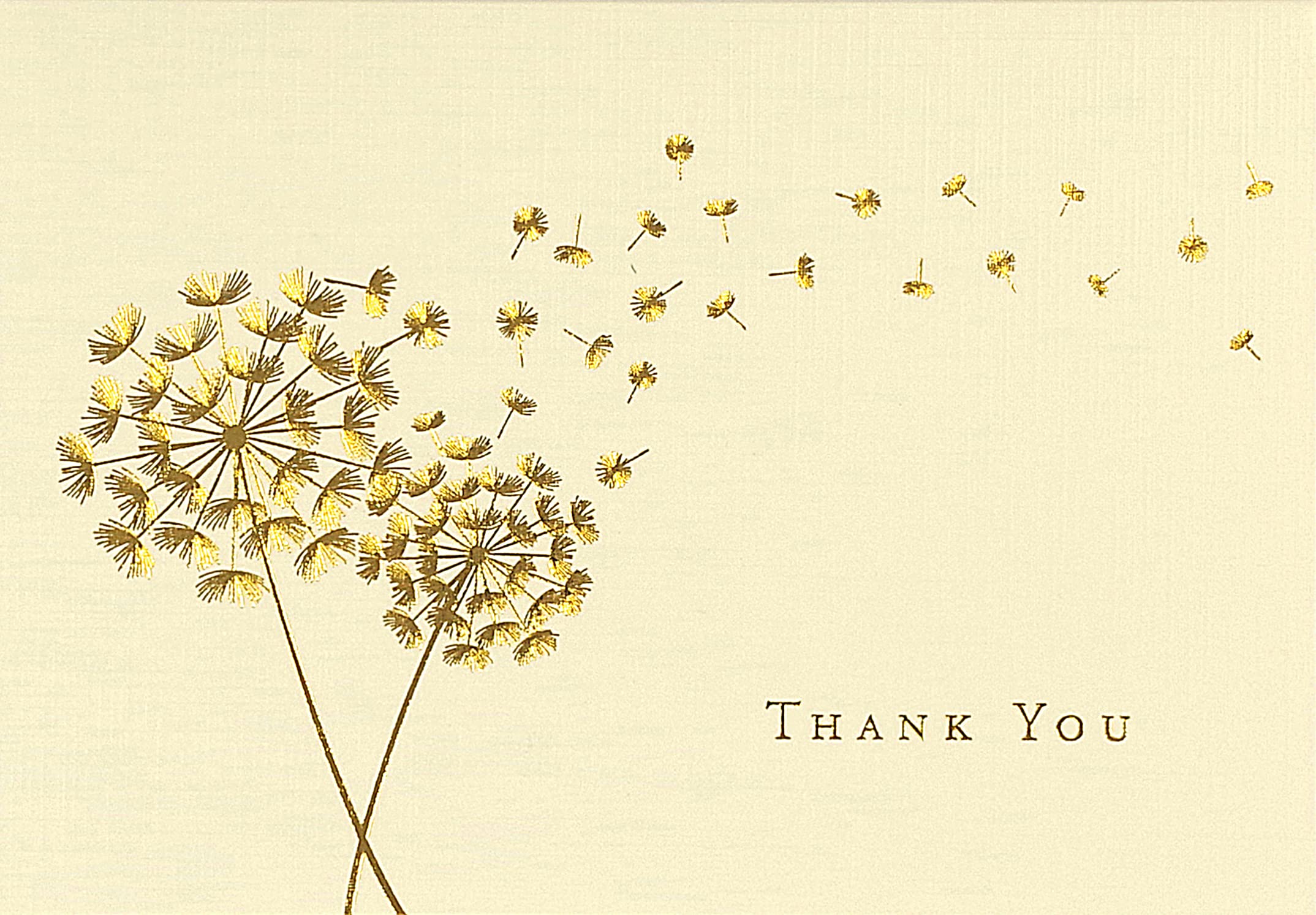 Dandelion Wishes Thank You Notes (Stationery, Note Cards, Boxed Cards)