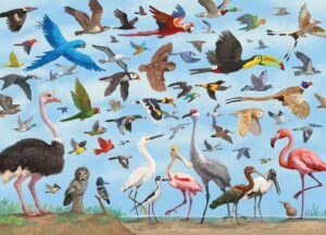 peter pauper press all the birds 1000 piece jigsaw puzzle