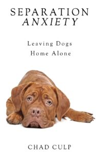 separation anxiety: leaving dogs home alone