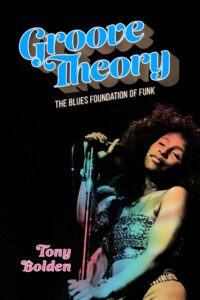 groove theory: the blues foundation of funk (american made music series)