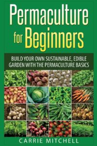 permaculture for beginners