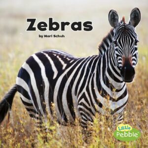 zebras (black and white animals)