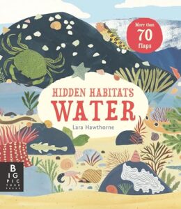 hidden habitats: water (small worlds)