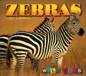 zebras (wild ones)