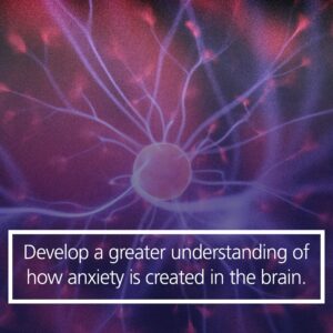 Rewire Your Anxious Brain: How to Use the Neuroscience of Fear to End Anxiety, Panic, and Worry