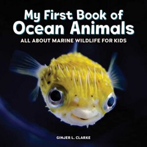 my first book of ocean animals: all about marine wildlife for kids