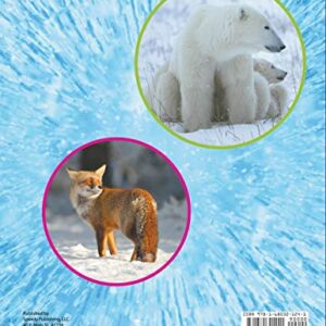 Arctic Animals (Cold Feet)