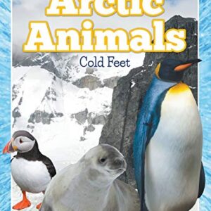 Arctic Animals (Cold Feet)