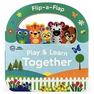 baby einstein play & learn together (flip a flap board book)