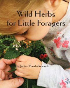 wild herbs for little foragers