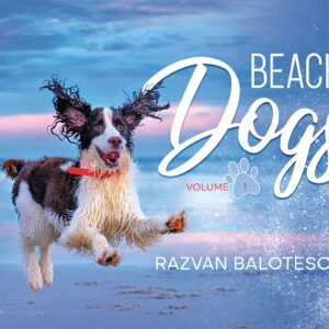 BEACH DOGS: A Coffee Table Photography Book of Joy for Dog Lovers